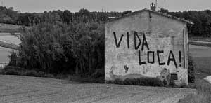 Art Report Today: A Deep, Beautiful Dive into Our Worldwide Arts + Culture